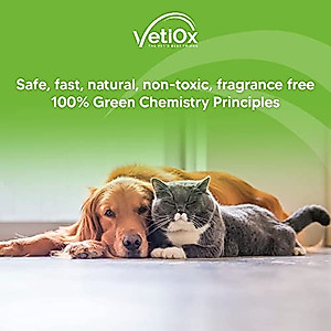 VetiOx Pet Odor Eliminator, Veterinarian Strength Dog and Cat Deodorizer, 16 oz Trigger Spray Bottle