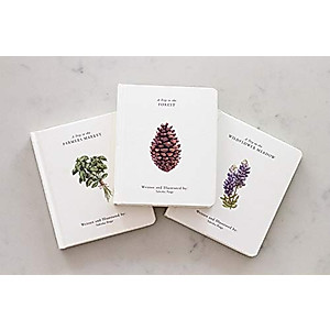 Our Little Adventures: Stories Featuring Foundational Language Concepts for Growing Minds (Our Little Adventures Series)