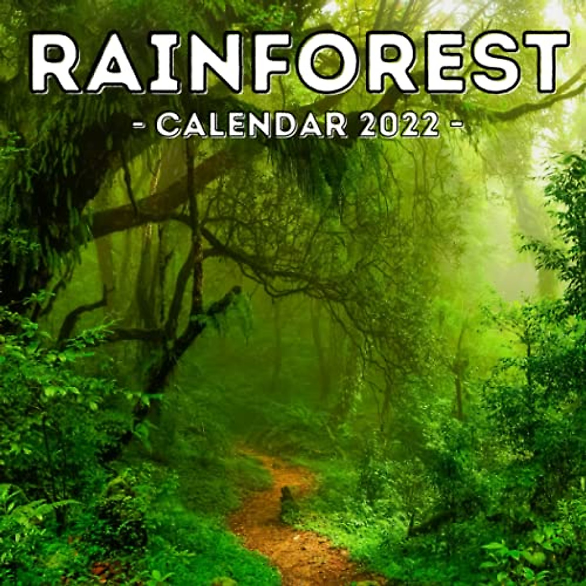 Rainforest Calendar 2022: 16-Month Calendar, Cute Gift Idea For Forest Lovers Women & Men