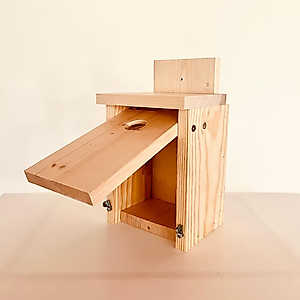 Sparrow Birdhouse Trap 1.5" Bird Hole w/Trap Door | Highly Effective & Easy to Use | Catch and Release Problem Sparrows Small Woodpeckers Wrens & Small Little Annoying Grey Brown Birds Species