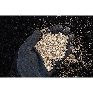 Pennington Tri-Fescue 50 LB Bag of Seed. Will Grow in Both Full Sun and Partial Shade Areas. Each Bag Covers 10,000 Square Feet When Overseeding Your Lawn + Home and Country USA Tri Fescue Tech Sheet