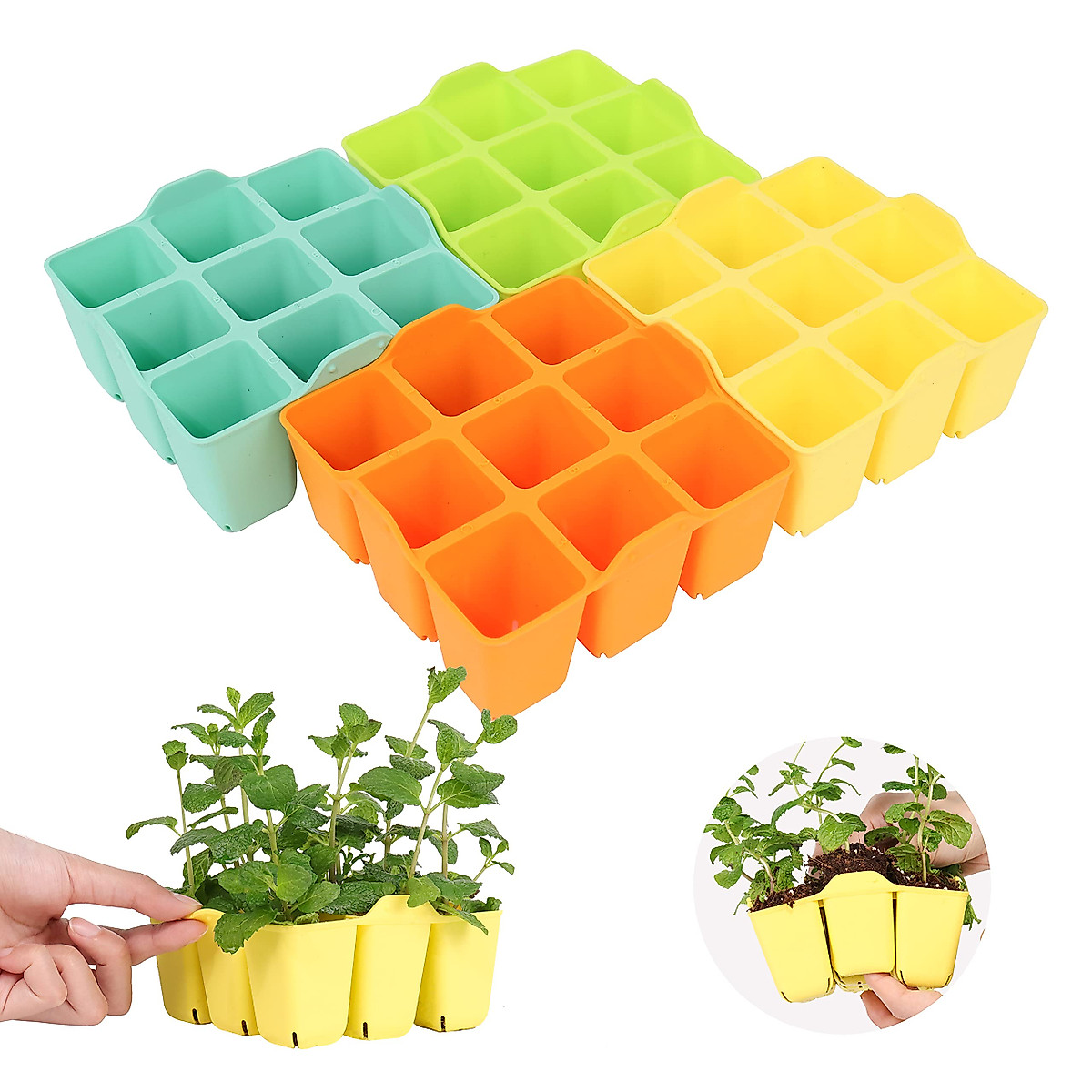LUVCOSY 4 Packs Silicone Seed Starter Tray, Colorful Seedling Starter Trays Fit Up to 10" 10" Planting Tray, BPA-Free & Dishwasher Safe, Indoor Reusable Seedling Grow Kit for Vegetable, Flower, Herb
