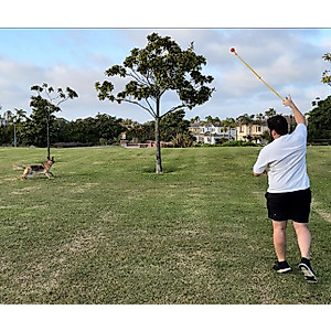 Runball Dog Rope Toy with Ball for Tug of War, Training, Fetch, Interactive Pull Toy, Teeth Cleaning Ball for Medium and Large Dogs, 10 Foot Rope and 2.75 Inch Ball