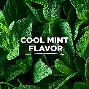 Tom's of Maine PureActiv Teeth + Gum Health* Anticavity Toothpaste Gel, Cool Mint, 4.0 oz.