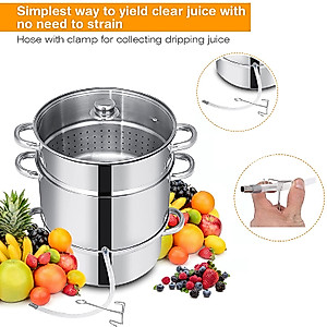 FANTASK 11-Quart Steam Juicer, Pasta Pot with Tempered Glass Lid, Hose, Clamp, Safe Loop Handle, Easy to Use, Stainless Steel Steamer Pot for Cooking Fruit Vegetable, Silver