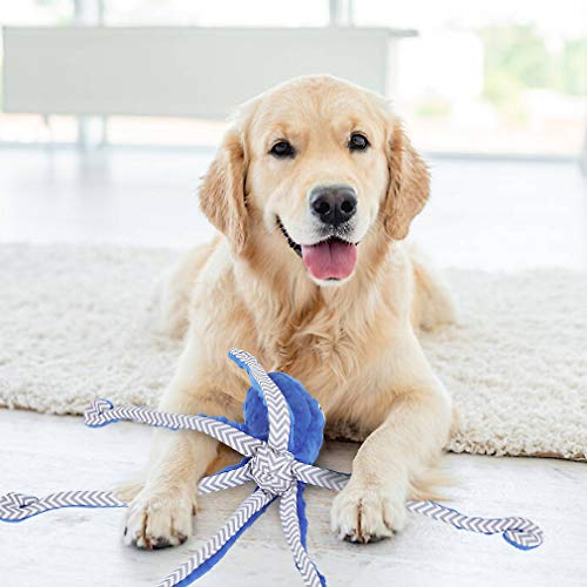 EXPAWLORER Octopus Dog Toy - Long Dog Squeaky Toys Puppy Birthday Gift Soft Stuffed Chew Toy, Crinkle Paper and Built-in Squeaker Durable Interactive Plush Toy for Small Medium Large Dogs, Blue