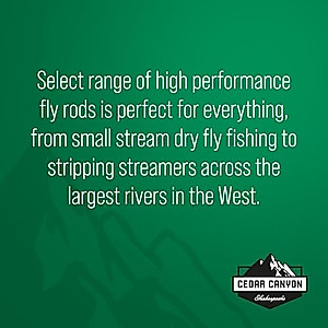 Shakespeare Cedar Canyon Summit Fly Fishing Rod, Black, 9' - 6wt - 4pc