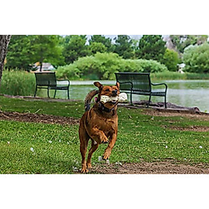 Top Dog Chews - Natural Beef Rawhide Bones (3 Pack), 8"-10" Long-Lasting Dog Bones for Aggressive Chewers, Digestible Dog Treats for Small, Medium & Large Breeds (3 Pack, 3, Count)