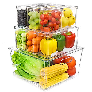 Pomeat 10 Pack Fridge Organizer with Lid Stackable Refrigerator Organizer Bins BPA-Free Fridge Organizers and Storage Clear Kitchen Cabinet Pantry Organization Fruit and Vegetable Storage Containers
