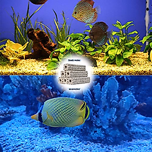 PINVNBY 20 Pcs 6.2-Inch Large Aquarium Filter Media Fish Tank Ceramic Media for Sump Canister Filter,Bakki Showers Filter,Trickle Filter,Aquaculture and Koi Ponds