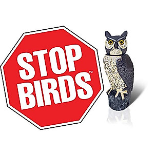 Dalen SOL-R Action Solar Fake Owl Decoy to Scare Birds Away from Gardens, Rooftops, and Patios - Scarecrow Provides Chemical-Free Pest Control - Safe and Humane, 18" 360º Rotating Head