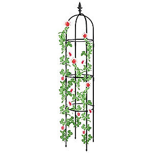 Plant Cages and Supports, Deaunbr Tomato Cage 6FT Tall Plant Stakes Heavy Duty Garden Trellis for Indoor & Outdoor Plants, Climbing Plant, Tomatoes, Vegetables, Fruits, Flowers, Pots, Vines -1 Pcs
