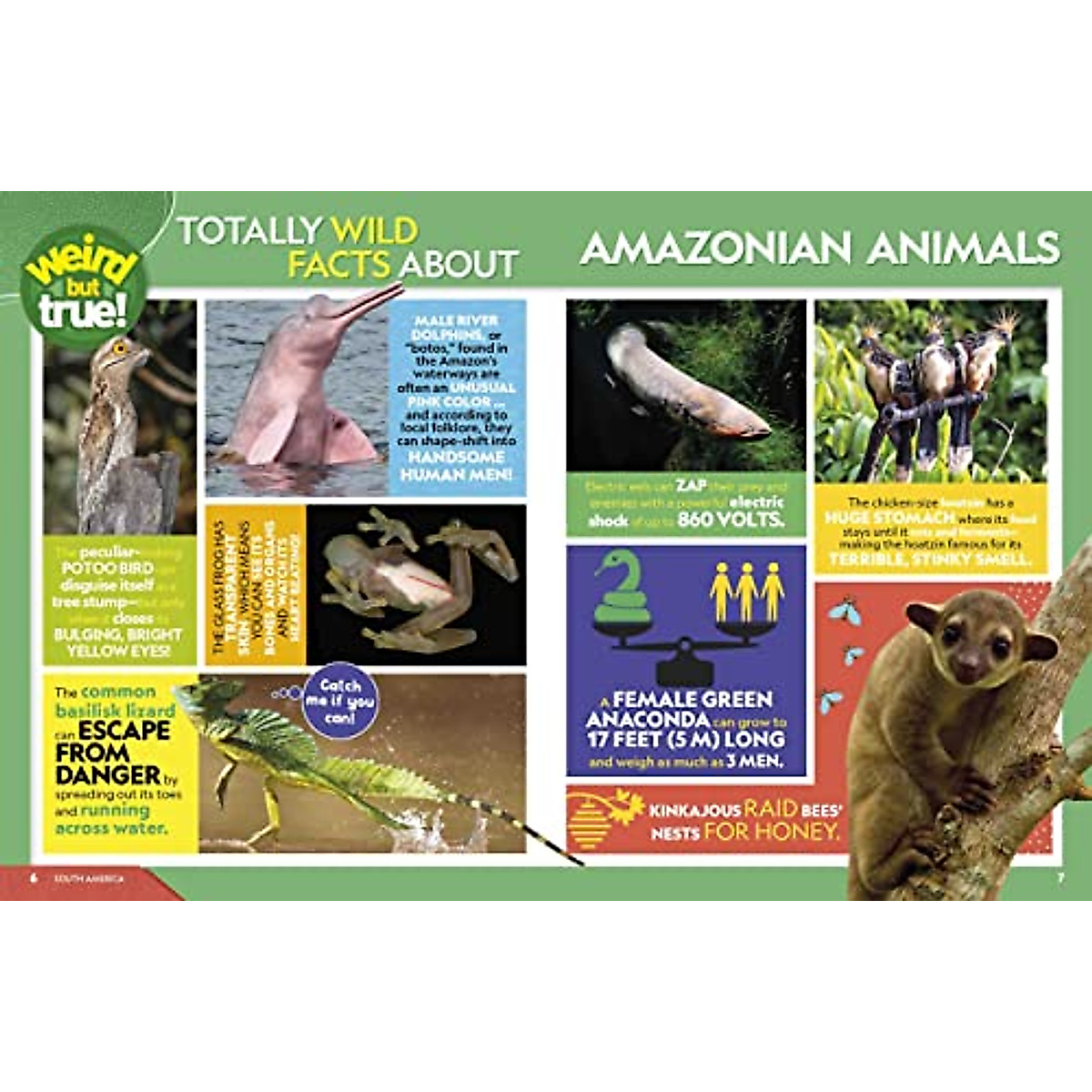 Weird But True World! 2023: Incredible facts, awesome photos, and weird wonders#for THIS YEAR and beyond!