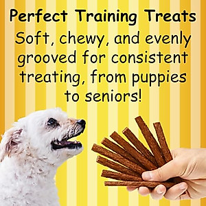 Fetch Fries Chicken and Sweet Potato Dog Treats, Soft Chicken Jerky for Small and Large Breeds, Naturally Healthy, Made in The USA (16 oz)