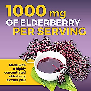 Viva Naturals Sambucus Elderberry with Zinc and Vitamin C for Adults, Vitamin D3 5000 IU and Ginger - Immune Support Supplement, 2 Months’ Supply - Black Dried Elderberry Capsules for Adults