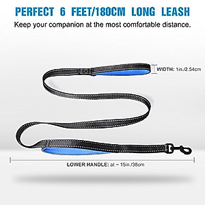 rabbitgoo Dog Leash 6ft Long, Heavy Duty Leash with 2 Padded Traffic Handles, Hands Free Leash for Control Safety Training, Reflective Walking Lead for Small, Medium, Large Dogs