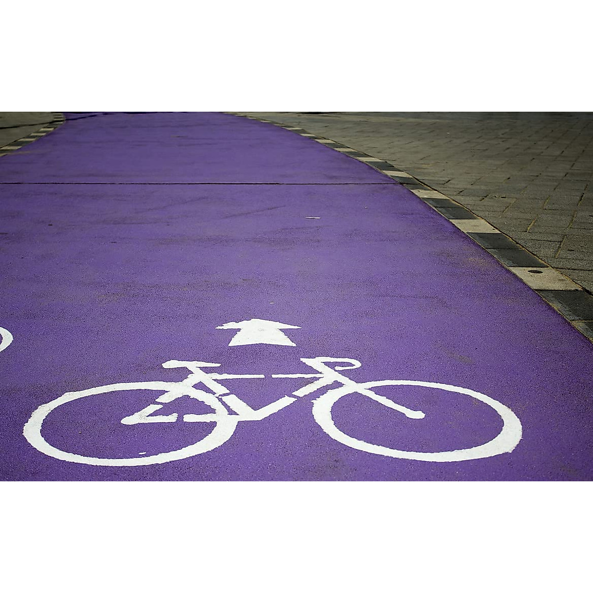 GOODTAKE Purple Iron Oxide, Concrete Pigments for Artistic and Decorative Painting, Cement Dye for Concrete, Clay, Lime, Tile, Mortar, Grout, Plaster, Masonry, Paint (Purple, 20 oz)