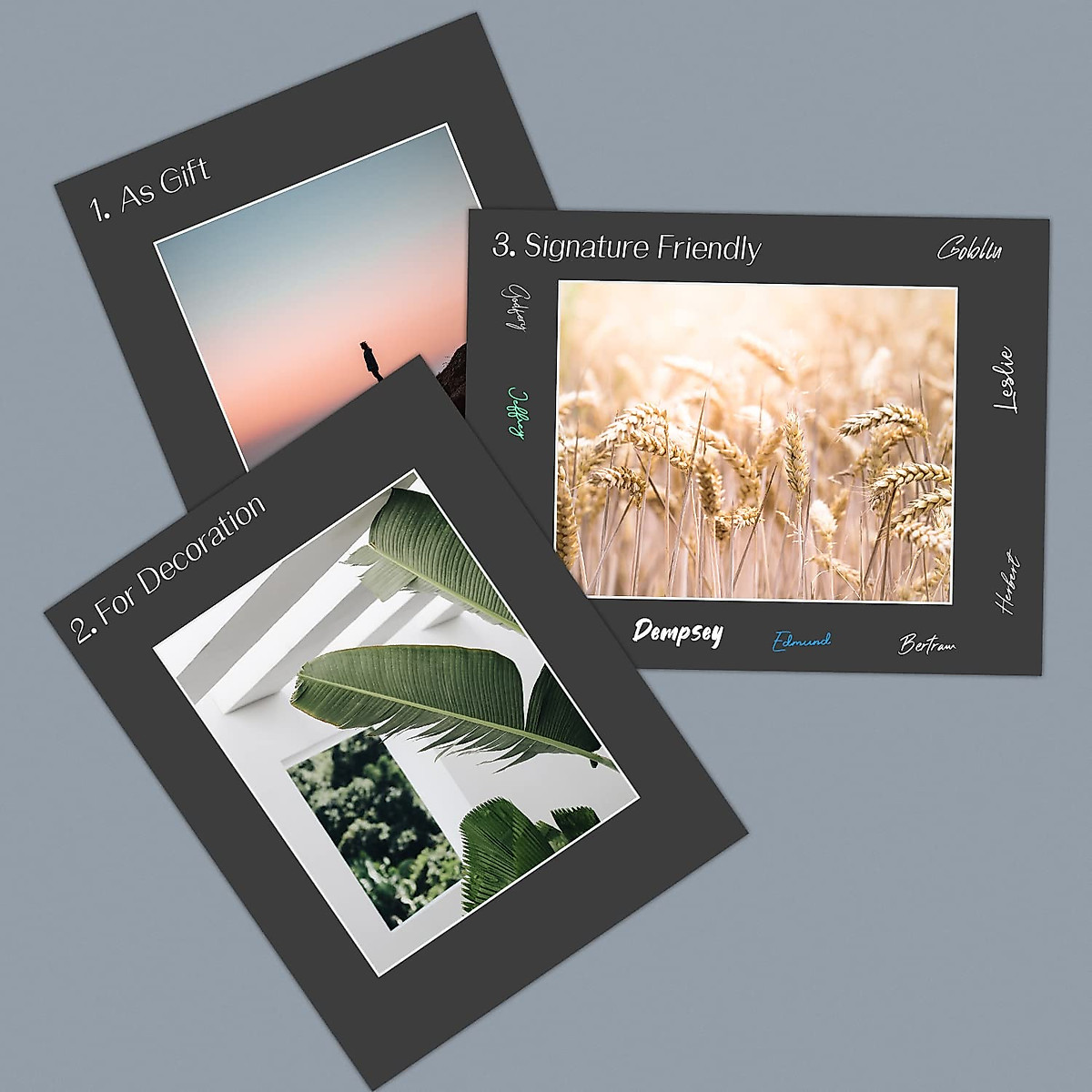 Golden State Art, Pack of 20 11x14 BLACK Picture Mats with White Core Bevel Cut for 8x10 Pictures