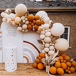 Double Stuffed Orange Cream Peach Apricot Balloons Garland Arch Kit-Small&Large Double Stuffed Balloons Beautiful Colours For Gender Reveal Party, Birthday Party, Baby Shower, Bridal Shower