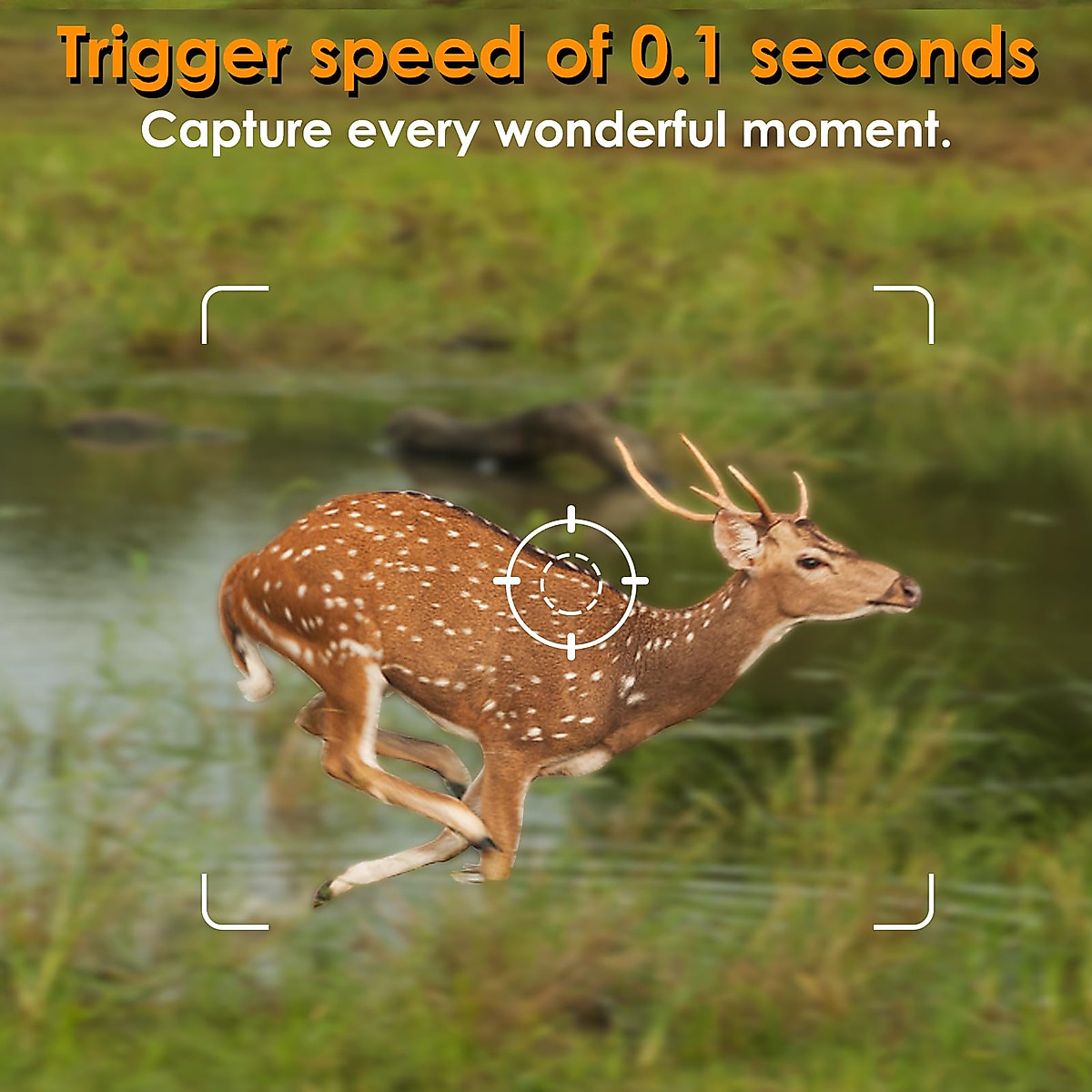 2-Pack 48MP 1296P Trail Cameras Night Vision No Glow H.264 Video Motion Activated 0.1S Trigger Time Waterproof for Outdoor Wildlife Hunting and Home Security Surveillance