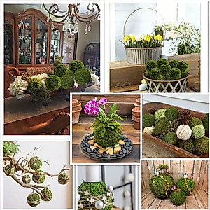 Usmola 18pcs Fake Moss Balls, 6pcs 3.2" Faux Green Balls + 12pcs 2" Artificial Moss Decorative Balls for Centerpiece Bowls (Green)