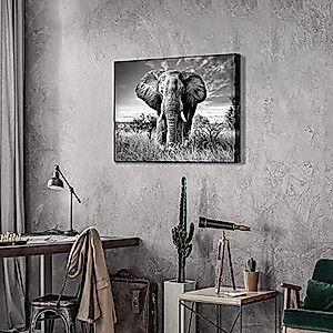 SunFlax Elephant Wall Art Canvas Artwork: African Wild Animals Picture Jungle Landscape Large Painting Black and White Wildlife Portrait Print for Modern Living Room Bedroom Bathroom Ready to Hang