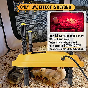 Shaledig Chick Brooder Heating Plate, 10"x10" Chicken Brooder Heater with Temperature Display, Adjustable Height for Baby Chick Duckling, 13W Brooder Plate for Up to 15 Chicks, Safe & Like Mother Hen
