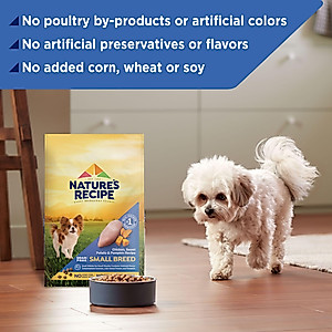 Nature Reciipe Small Breed Grain Free Chicken, Sweet Potato & Pumpkin Recipe, Dry Dog Food, Complete and Balanced Nutrition, 12 lb.