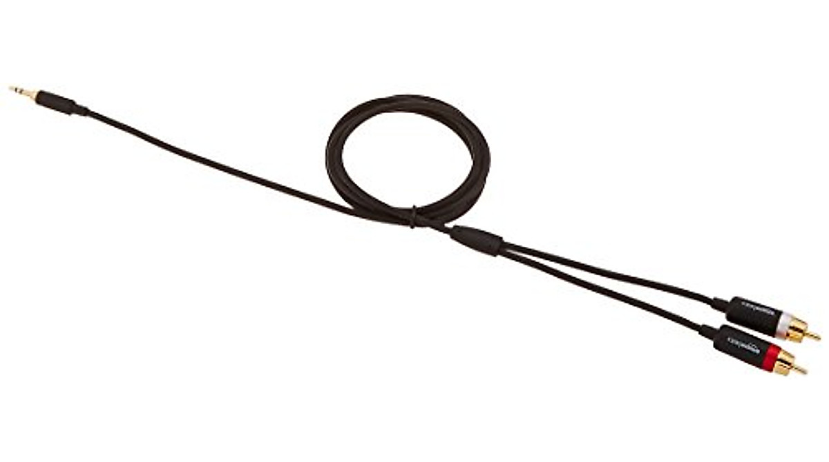 Amazon Basics 3.5mm to RCA Adapter Cable - 4 Feet Easy Connect
