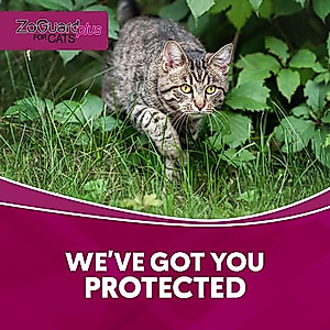 ZoGuard Plus Flea and Tick Prevention for Small Cats – Flea & Tick Prevention for Cats Over 1.5lbs (3 Doses)