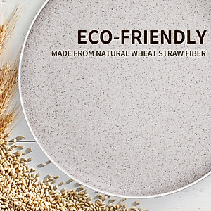 MISS BIG Dinner Plates,10 inches Plastic Plates Set of 4,Lightweight Wheat Straw Plates,for Children & Adult Plastic Plates Reusable,No BPAs and No Chemical Dyes,Plastic Dinner Plates(Wheat White)