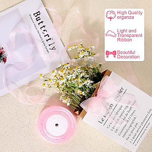 ZEYIYER Pink Ribbon, 1 Inch 50 Yards Sheer Organza Ribbon for Flower Bouquet, Pink Festival Gift Basket Chiffon Ribbon, Tulle Ribbon for Gift Wrapping Wedding Flower Party Home Decoration
