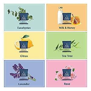 BodyRestore Shower Steamers Aromatherapy 6 Packs Box - Gifts for Mom, Gifts for Women & Men, Shower Bath Bombs, Eucalyptus, Citrus, Lavender, Rose, Tea Tree, Milk & Honey Essential Oils, Stress Relief