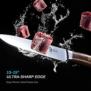 KYOKU Carving Knife Set, Daimyo Series 8" Carving Knife and Fork, Japanese 440C Stainless Steel Brisket Knife for Meat, Meat Carving Slicing Cutting Set with Rosewood Handles Mosaic Pins Sheath & Case