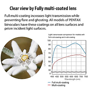 Pentax SP 16x50 Binoculars (Black)