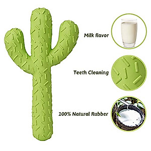 MewaJump Dog Chew Toys, Durable Rubber Dog Toys for Aggressive Chewers, Cactus Tough Toys for Training and Cleaning Teeth, Interactive Dog Toys for Small/Medium Dog