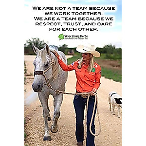 Silver Lining Herbs 20 Keep Cool Equine Calmer - Natural Herbal Horse Supplement - Supports Calming Anxious and Excitable Horses - Helps Maintain Contentment and Relieve Stress - 1 lb Bag