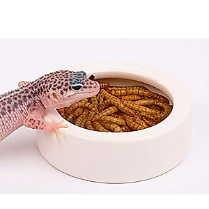 Reptile Food Water Bowl, 2 pcs Ceramics Worm Dish ,Anti-Escape Reptile Water Feeder ,Mealworm Bowl for Lizard Gecko Bearded Dragon, (S,M,L) (Large)