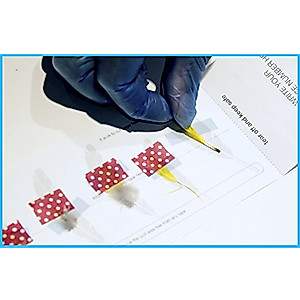 Bird Sexing DNA Slim Sample Card. Gender Reveal Test for Parrots, Macaws, Lovebirds, Cockatoos, Grey African, Silkies‎, Cockatiels (+300 Psittacines) Avian Sexing DNA Testing