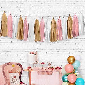 Aonor Gold White Pink Tassel Garland for Baby Shower Decorations Bridal Shower Birthday Party Decorations 15PCS