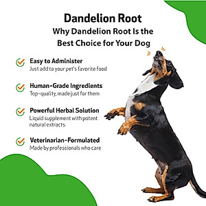 Pet Wellbeing Dandelion Root for Dogs - Liver & Heart Health, Digestive Function, Blood Sugar Support, Certified Organic - Veterinarian-Formulated Herbal Supplement 2 oz (59 ml)
