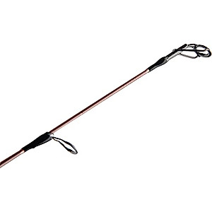 PENN Passion II Spinning Reel and Fishing Rod Combo,Black/Rose Gold