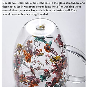 NBHUZEHUA Double Wall Glass Coffee Mugs Clear Cups for Cappuccino Tea Espresso Latte Hot Beverages Glasses Birthday Gifts for Women Her