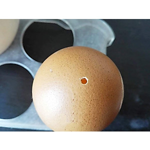 1 Pack Hard Boiled Egg Piercer simple easy egg hole puncher egg poacher Endurance Hole (304 stainless steel+new material PP bottom)Anti-sliding can operate well,Arc is suitable for all kinds of eggs.