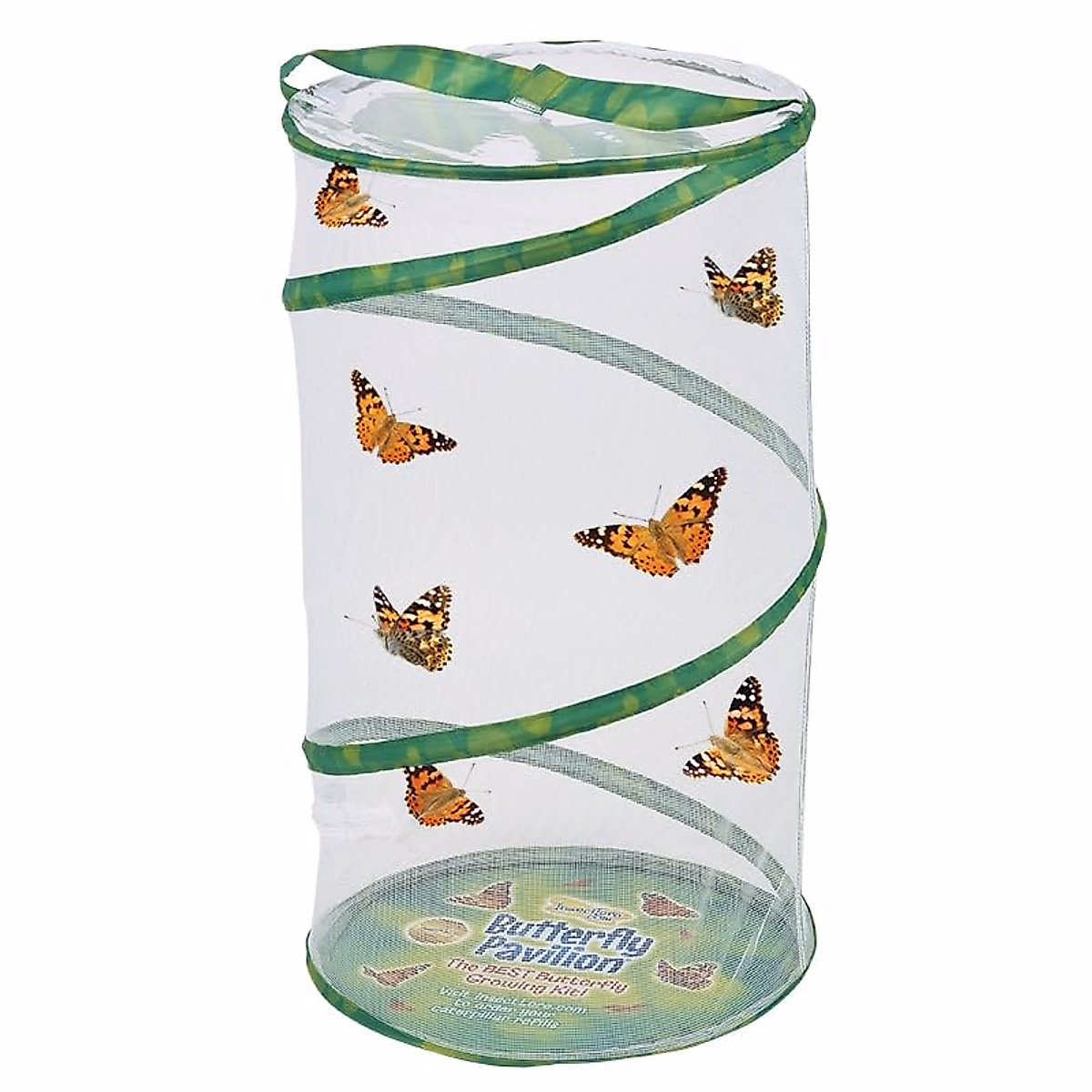 Insect Lore Butterfly Pavilion: Pavilion Habitat and Two Live Cups of Caterpillars with STEM Butterfly Journal – Life Science & STEM Education – Butterfly Kit