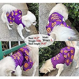 Dog Halloween Witch Dresses Costumes Puppy Skirts Apparel for Funny Pumpkin Head/Bat Party Dress Cosplay Halloween Costume for Small Medium Dogs Cats (Medium, Purple)
