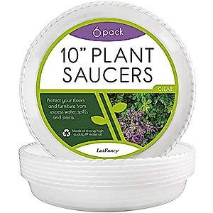 LotFancy Plant Saucer, 6 Pack of 10 Inch, Clear Plastic Plant Trays for Pots, Thick 35Gram Durable Flower Pot Base, Plant Plate to Catch Water for Indoors Outdoors