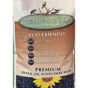 Prairie Melody(TM) Premium Black Oil Sunflower Bird Seed, Pesticide Free, 12-Pound Bag