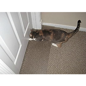 KittySmart Carpet Scratch Stopper Stop Cats from Scratching Carpet at Doorway Instantly, 5 Year Warranty, Ready for Immediate Use - Requires No Cutting, Modification, Hooks, Tape or Fasteners