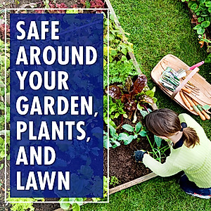 30 SECONDS Outdoor Cleaner, 1 Gallon - Sprayer